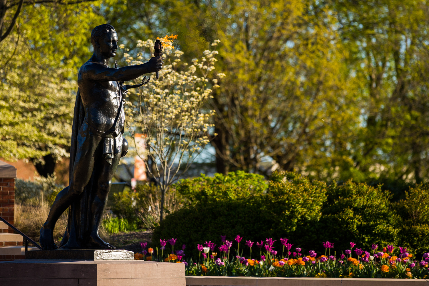 UT College of Law ranked among top programs by U.S. News - Winston ...